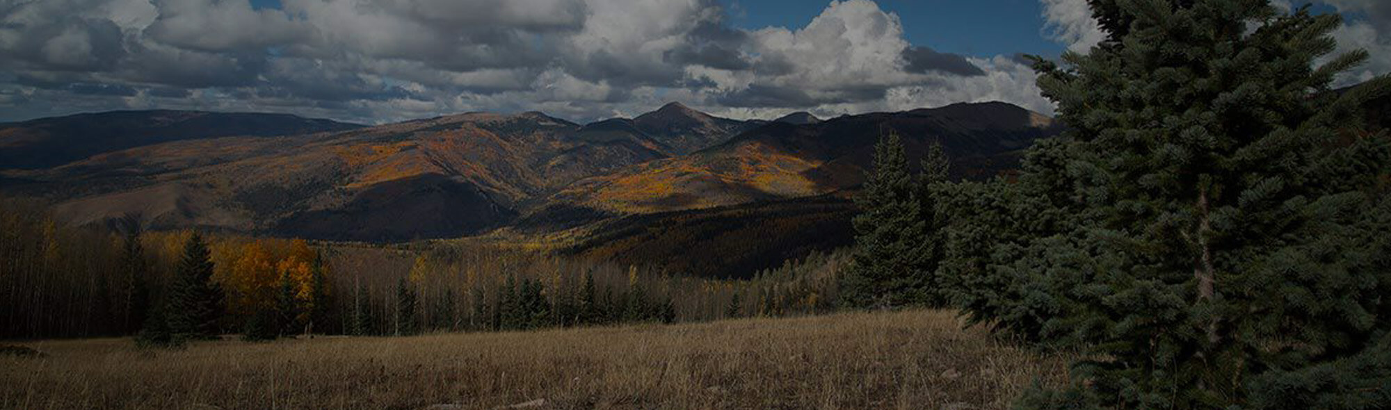 Preservation - Cielo Vista Ranch